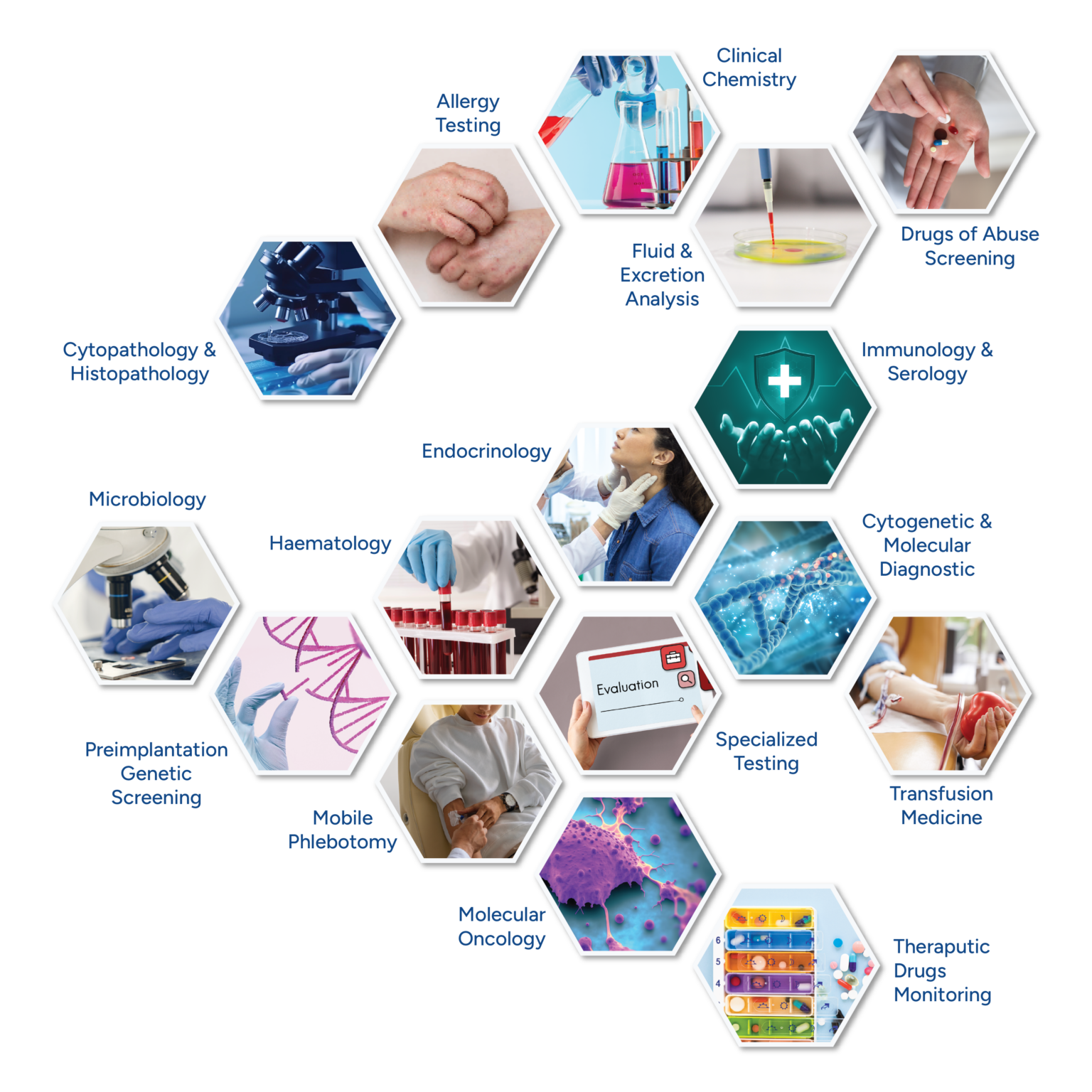 Overview – Premier Integrated Labs