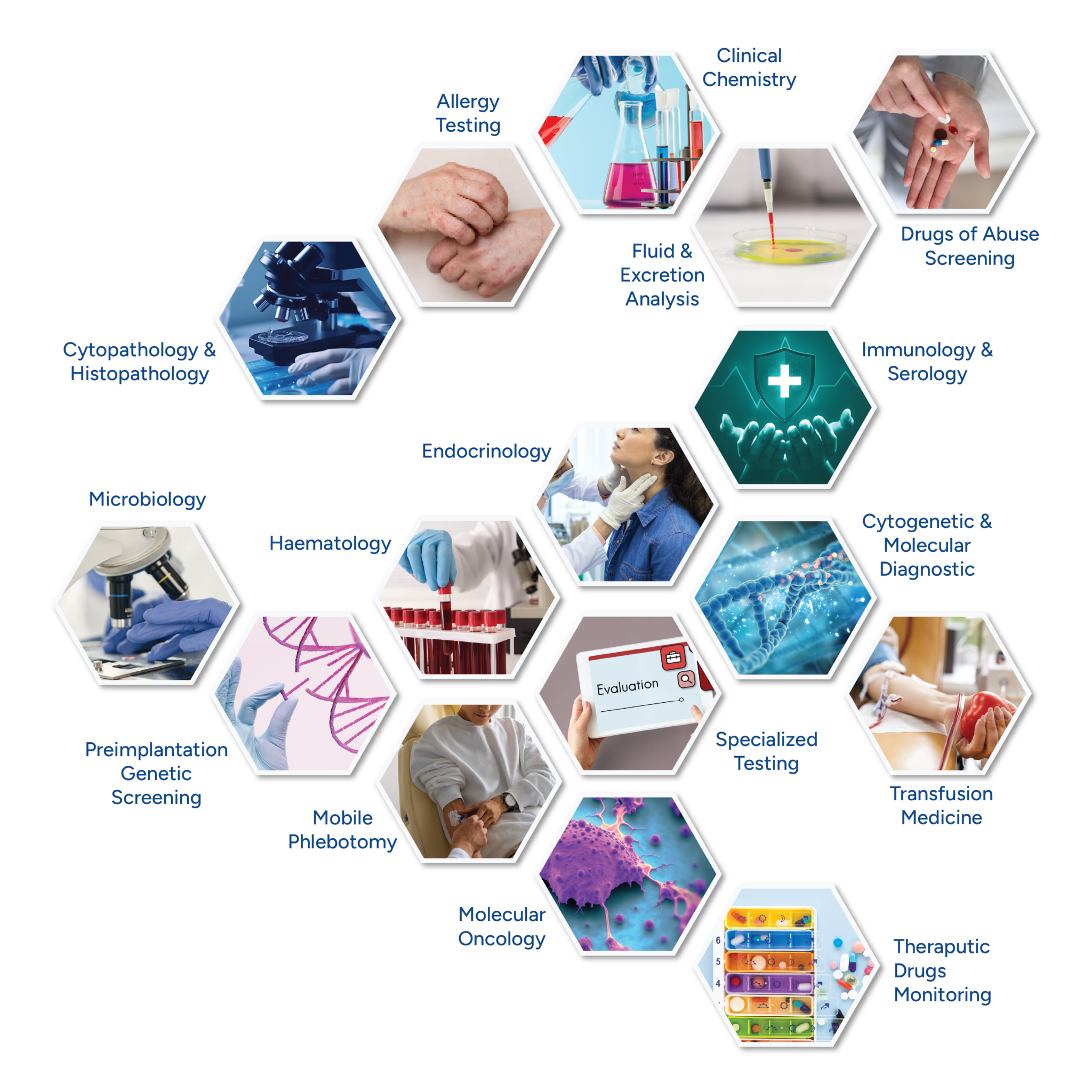 Overview – Premier Integrated Labs